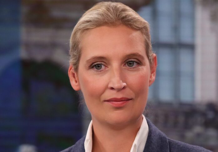 Kanzlerfrage: Weidel überholt Merz - Der Papa bloggt das schon